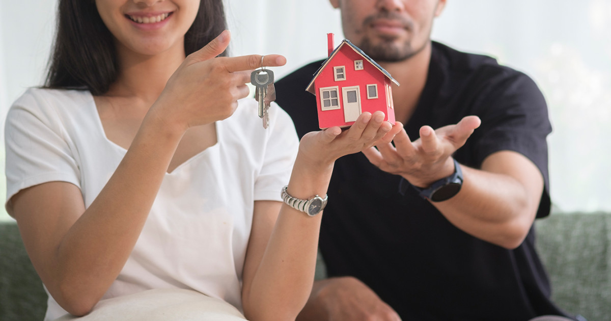 Viola Properties | Viola Properties